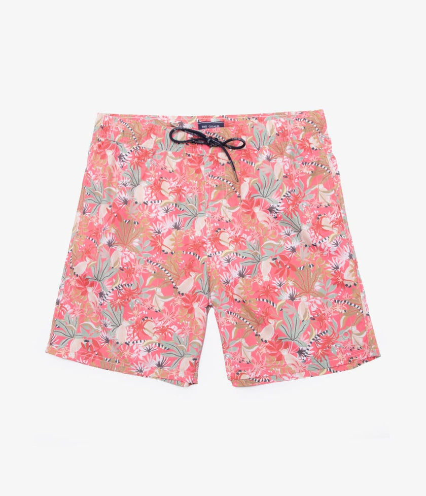 Básicos de Calidad The Qualis | Ropa, camisas y accesorios